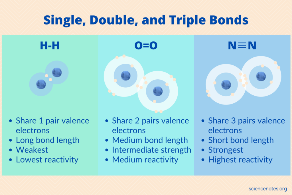What is the difference between bonds and notes?